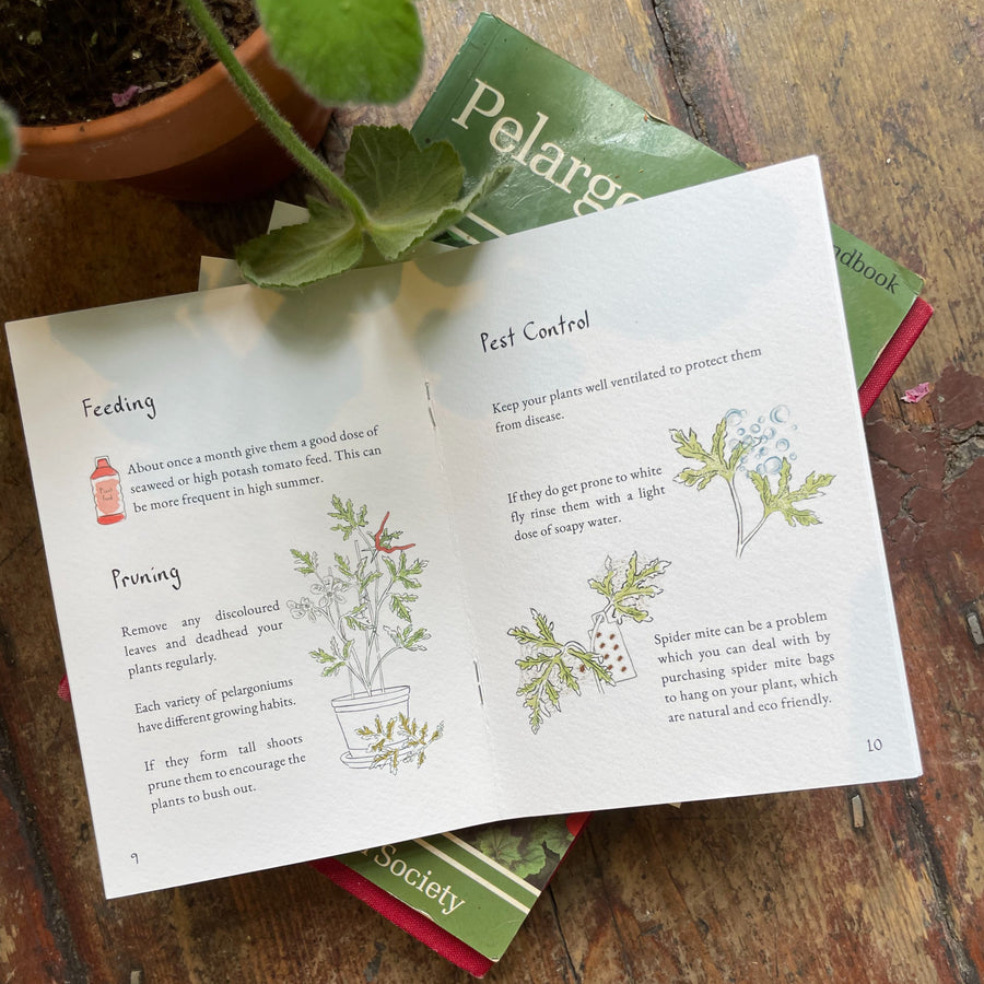 GERANIUM GUIDE – C.Atherley